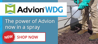 All About Termites - Facts, Life Cycle, Reproduction, History & More