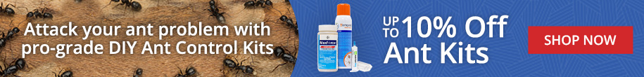 Ant Control & Ant Killer Products | DIY Ant Pest Control