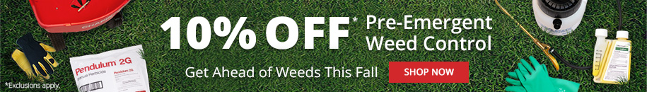 Why Use Fall Pre-Emergents | Fall Weed Control for Lawns
