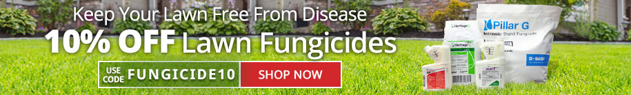 Fungicides | DIY Lawn, Turf & Garden Fungus & Disease Control