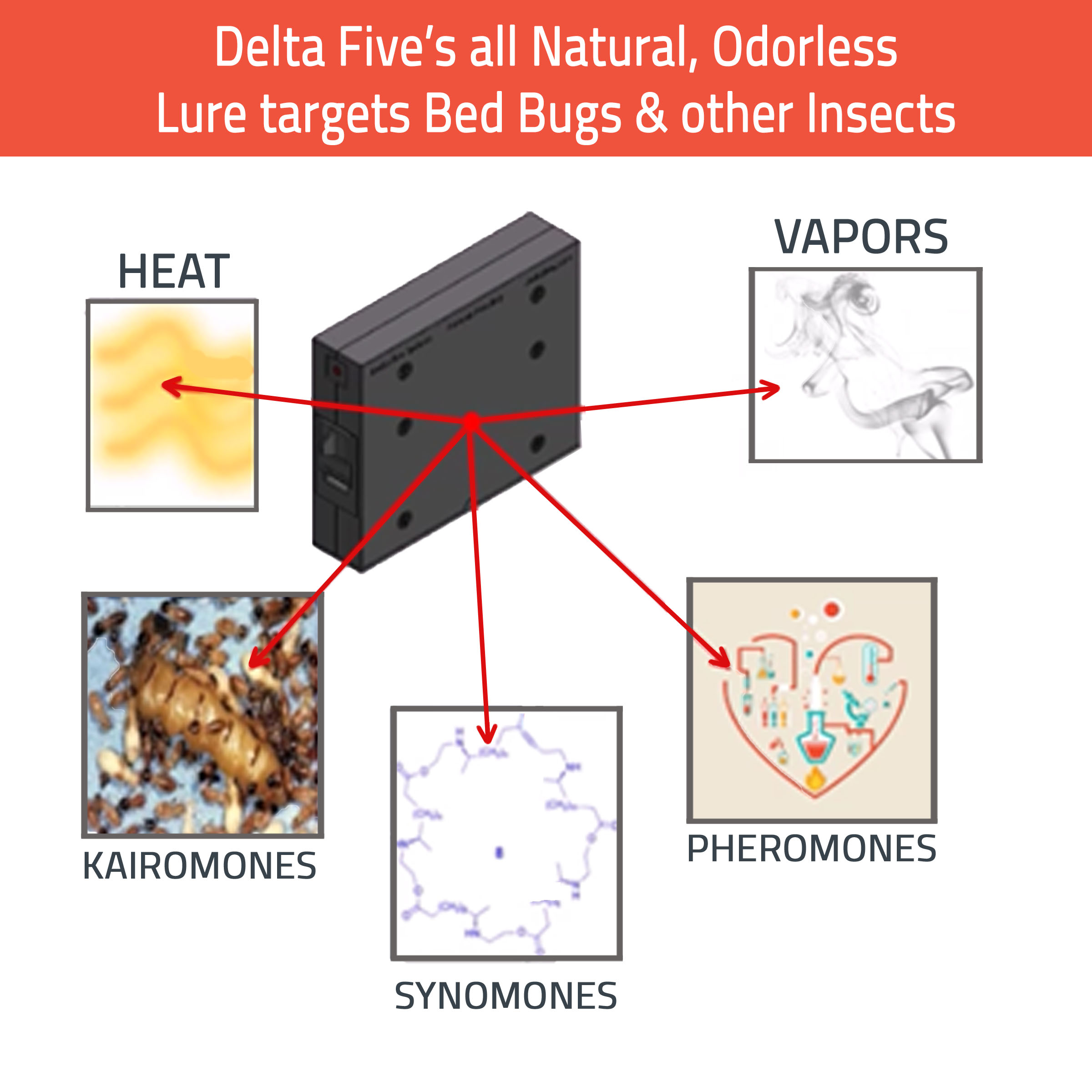 Delta Five V2 Bed Bug Monitoring Device & Trap | Bed Bug Monitoring System