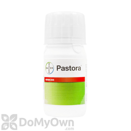 Pastora Herbicide WP