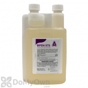 Springtails Control & Extermination | How To Get Rid Of Springtail Bugs ...