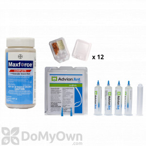 Ant Control & Ant Killer Products | DIY Ant Pest Control