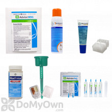 Grant's Kills Ants Ant Control Stakes 10 Pack