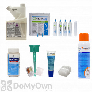 Ant Control & Ant Killer Products | DIY Ant Pest Control