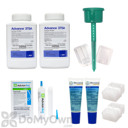 Ant Control & Ant Killer Products | DIY Ant Pest Control