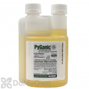 Pyrethrin, Pyrethrum, pyrethrin insecticide, pyrethrin fogging products