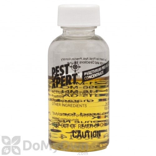 PestXpert Pyrethrum PBO Plus Concentrate (60-6) | DIY Pest Control ...