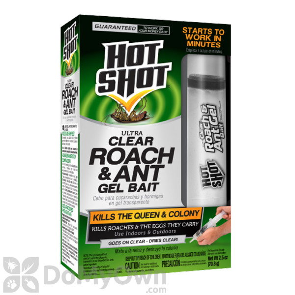 Hot shot ant bait store