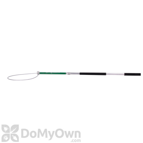 Do It Yourself Pest Control Products & Supplies | Do My Own