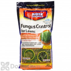 How to Get Rid of Anthracnose Lawn Disease | Anthracnose Treatment Guide