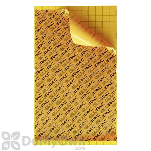 Flytrap Professional 80 Glupac GlueBoards (Yellow)