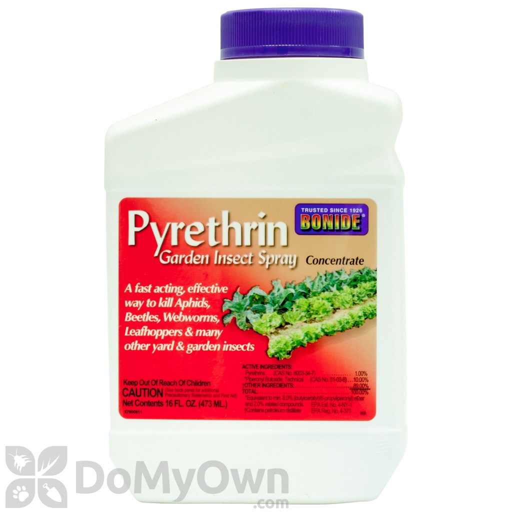 Bonide Pyrethrin Garden Insect Spray