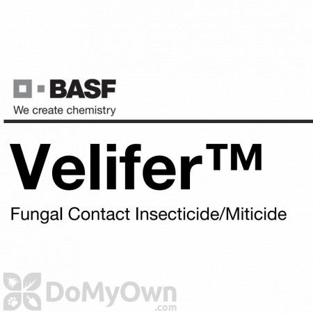 Velifer Fungal Contact Insecticide / Miticide