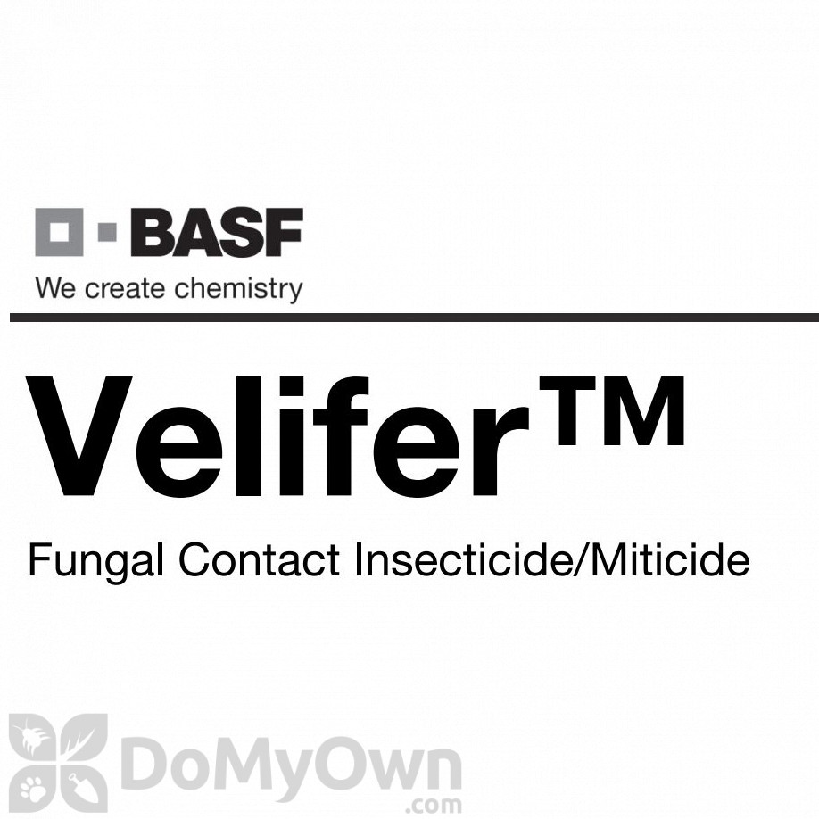 Velifer Fungal Contact Insecticide / Miticide