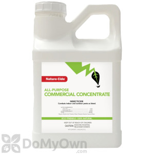 Ant Control & Ant Killer Products | DIY Ant Pest Control