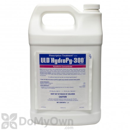 Springtails Control & Extermination | How To Get Rid Of Springtail Bugs ...