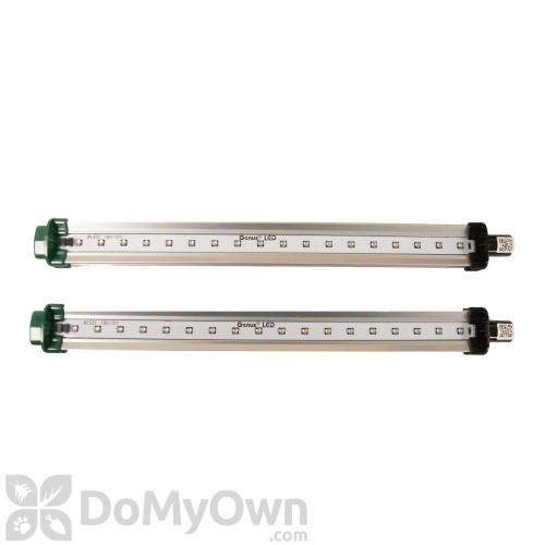 Genus Illume Alpha LED Light Strips