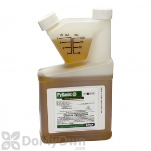 Pyrethrin, Pyrethrum, pyrethrin insecticide, pyrethrin fogging products