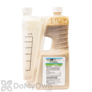 Springtails Control & Extermination | How To Get Rid Of Springtail Bugs ...