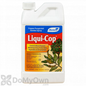 Fungicides for Edible Gardens - Tomato Fungicide