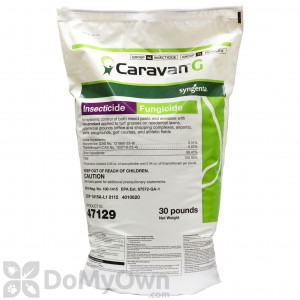 Chinch Bugs Killer Products | Chinch Bug Insecticide Spray | DoMyOwn.com