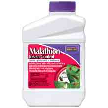 Malathion Pesticide | Insecticide Spray Products, Uses, Label & MSDS ...
