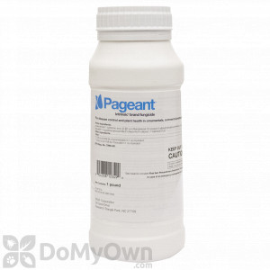 Fungicides | DIY Lawn, Turf & Garden Fungus & Disease Control