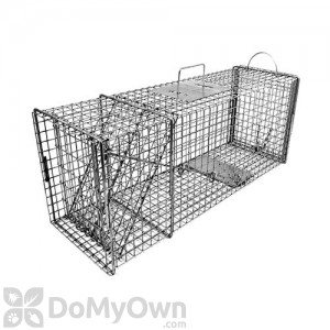 Raccoon Traps, Raccoon Live Trap, Raccoon Trapping - Free Shipping
