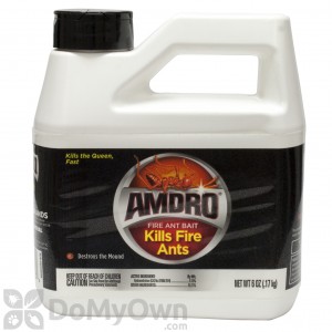 Ant Control & Ant Killer Products | DIY Ant Pest Control