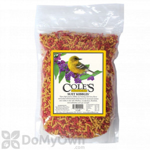 Best, Bulk & Cheap Bird Seed | Wild Bird Seed | DoMyOwn.com