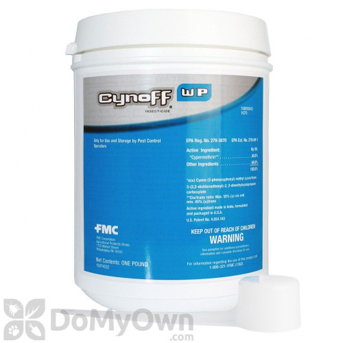 Cynoff WP - Free Shipping