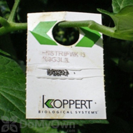 Koppert Biological Systems Products