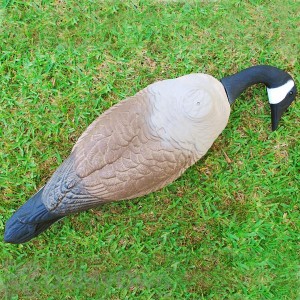 Goose (Geese) Repellent & Deterrent - Natural Goose Repellent Products