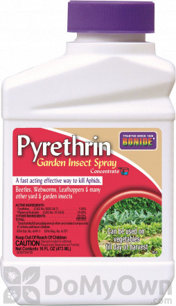 Pyrethrin, Pyrethrum, pyrethrin insecticide, pyrethrin fogging products