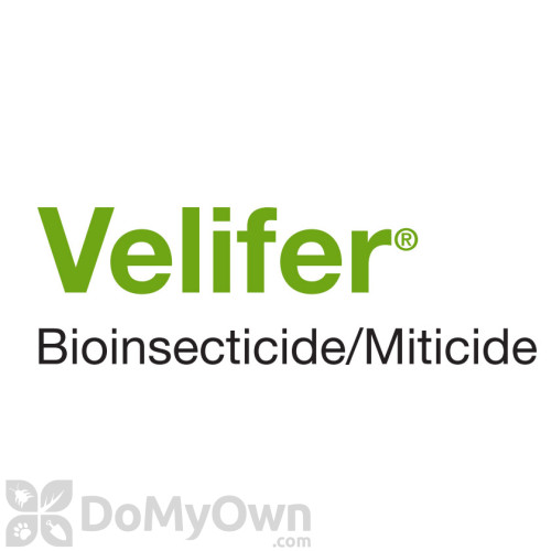 Velifer Fungal Contact Insecticide / Miticide; Velifer Bioinsecticide ...