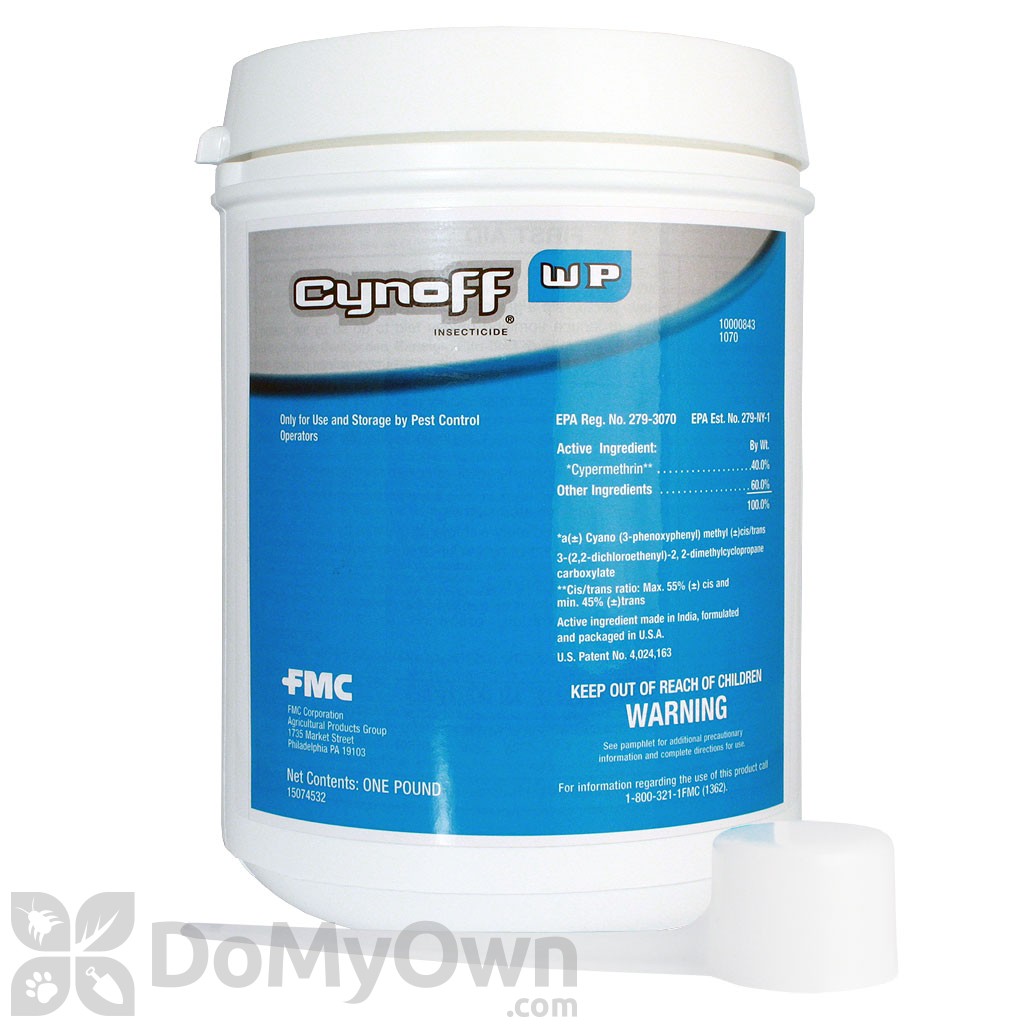 Cynoff WP - Free Shipping