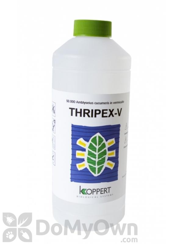 Koppert Thripex-V (Neoseiulus cucumeris) 1000 ml
